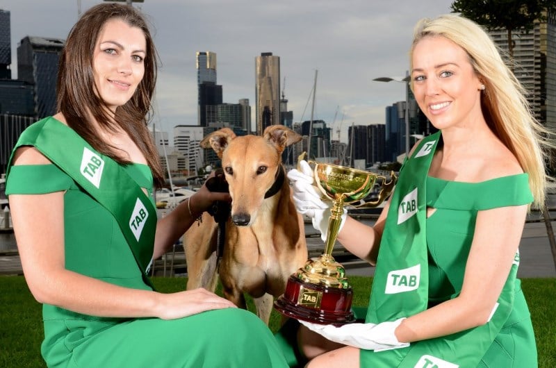 TAB.com.au Promo Code - Australia's most famous bookmaker