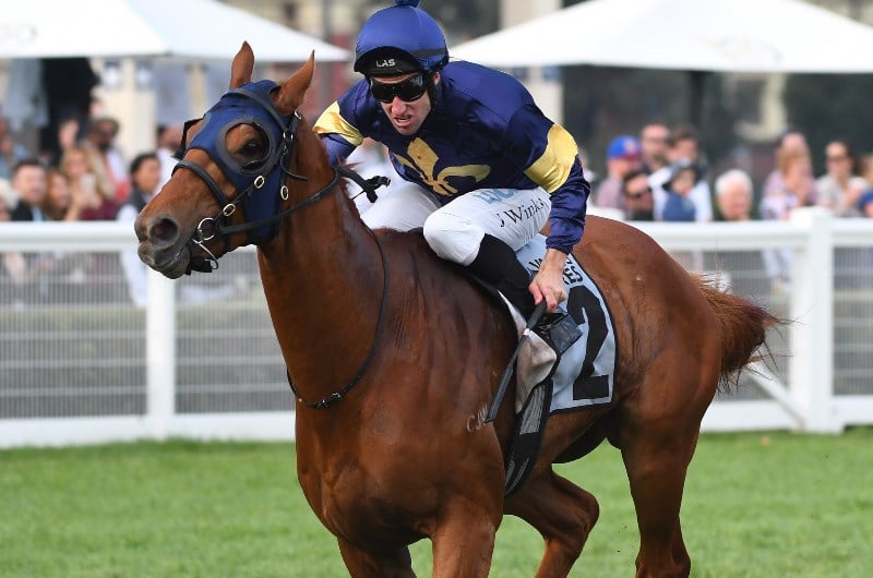 Toorak Handicap - Nick Ryan chasing his first G1 on Guineas day