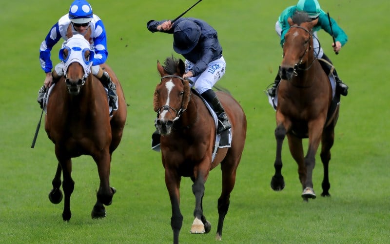 Saturday Racing Tips | Best Racing bets for the Weekend (Updated Every ...