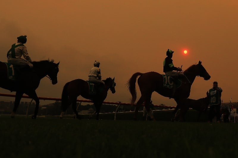 Smoke haze impacts Victorian racing - bets.com.au