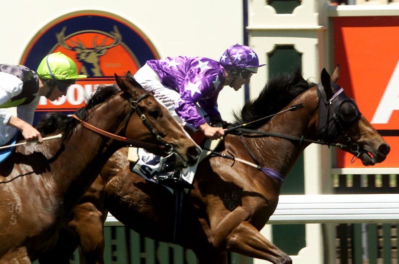 What are the five funniest horse names in history? - The most unusual ...