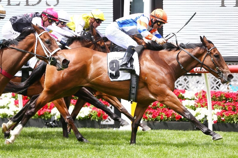 Moonee Valley Tips - Racing Tips & Selections For Friday 28.2.20 - Can ...