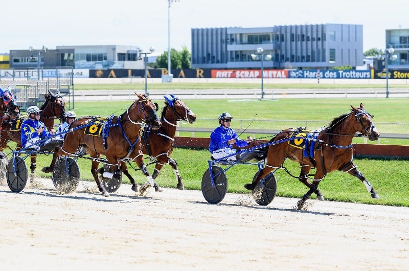Harness Racing Suspended In NSW - bets.com.au