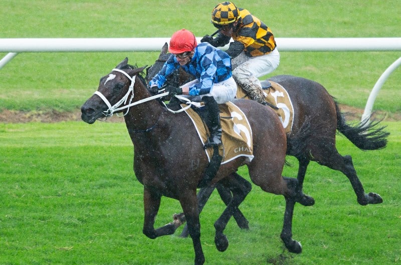 Vinery Stud Stakes 2020 Betting Tips - Is it Funstar's to lose ...