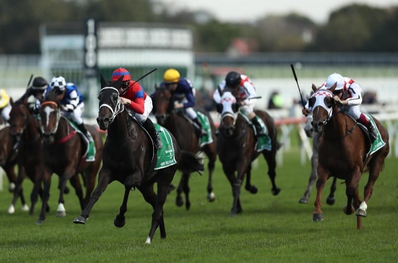 $20,000 Championships Horse Racing Contest with Draftstars - Horse ...