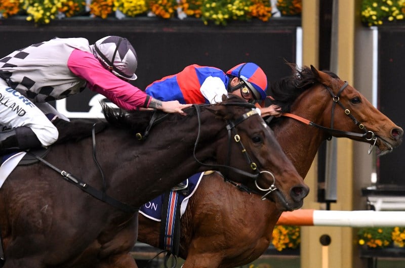 Andrew Ramsden Stakes 2020 Barrier Draw - Andrew Ramsden Stakes 2020 ...