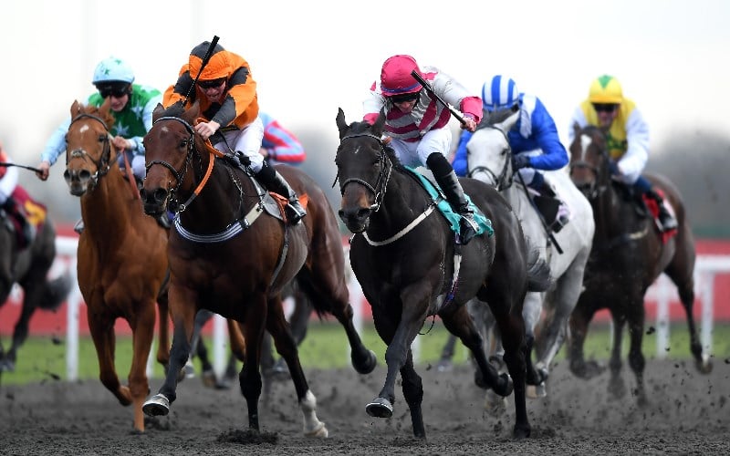 Big Bets | Who the big punters are backing with weekend betting from ...