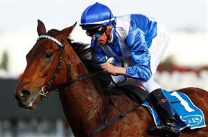 Son of More Joyous Wins On Debut - Well Bred Best Ever wins at Pakenham