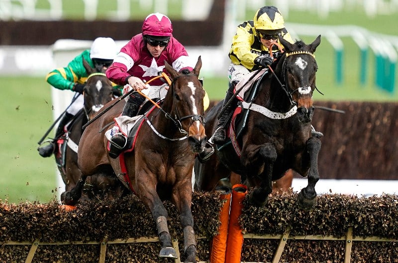 2021 Champion Hurdle Tips | Three Horses To Follow