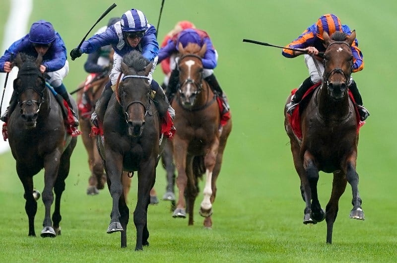 2021 Triumph Hurdle Tips | Three Horses To Follow This Season