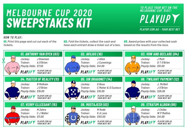 2020 Melbourne Cup Sweepstake Kit