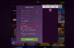 Malina Casino Promo Code is NEWBONUS - Get 100% up to €500 + 200 Free Spins