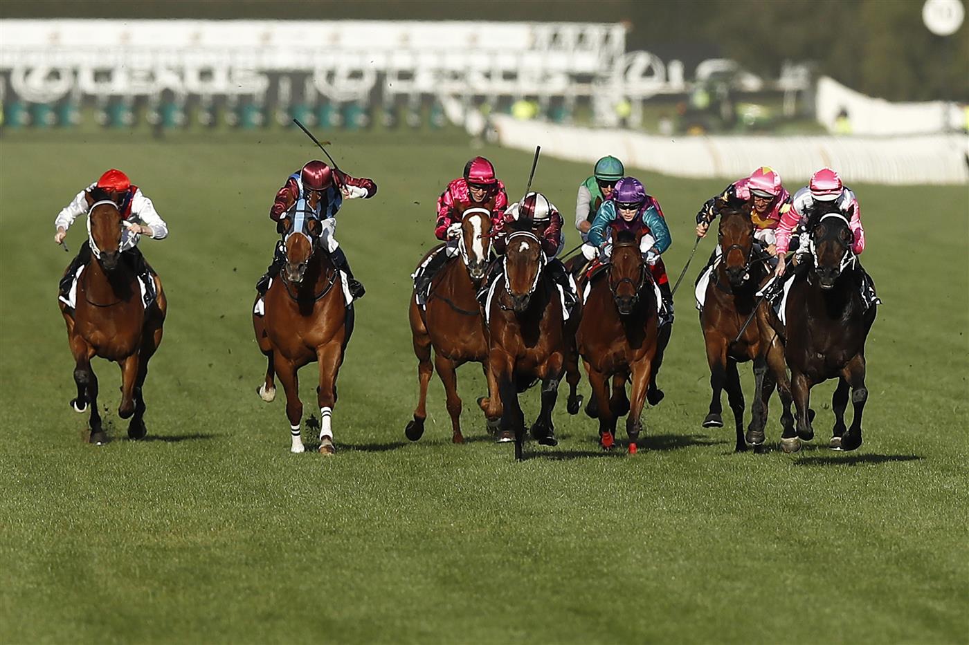 Mackinnon Stakes Day Highlights (Pictures) - Mackinnon Stakes Day 2020