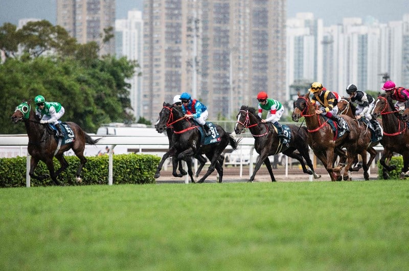 Hong Kong Horse Racing Live Stream - How to watch and bet on horse ...