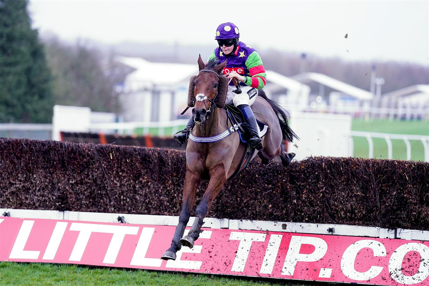 Racing Photos | Plumpton races 13.1.2021