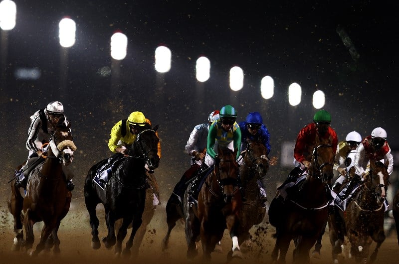 Meydan Tips | Best Bets & Odds for January 21