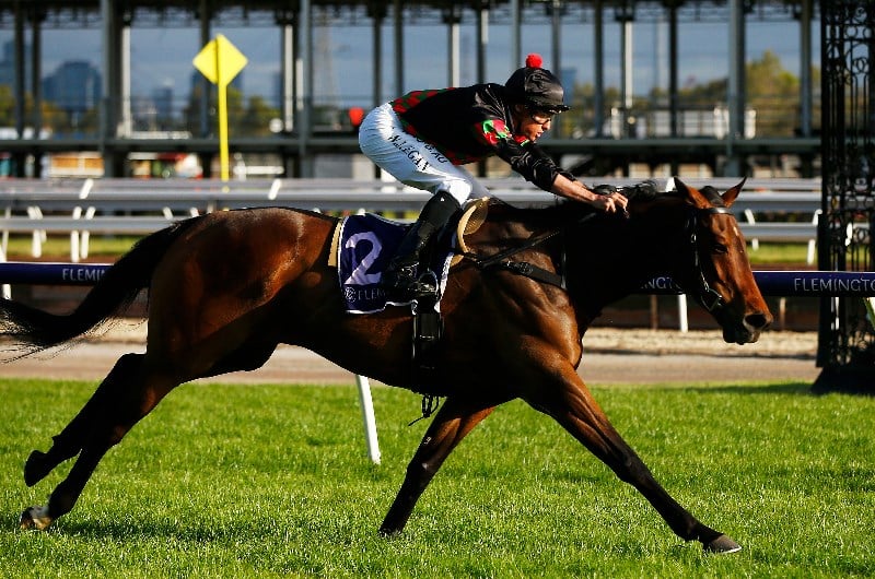 Big Saturday Bets For January 30 2020 - Bets.com.au - Big Bets have ...