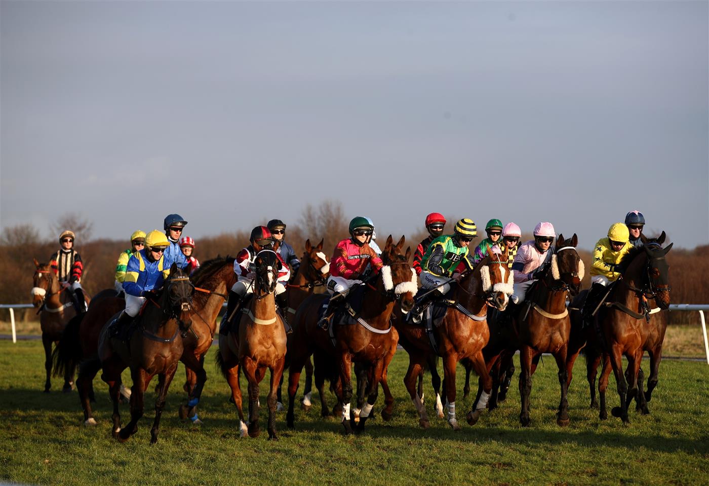 Racing Photos | Doncaster racecourse pictures 29/1/21