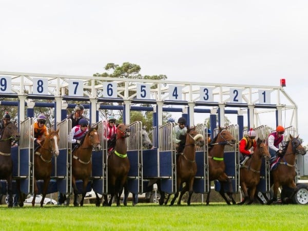 Cranbourne Races Live Stream - Watch live Australian racing
