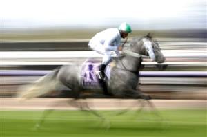 Free Horse Racing Tips For Expert Tips - Racinginsider.com