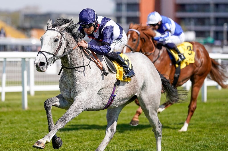 ITV Racing Tips | Free horse racing tips May 14th.