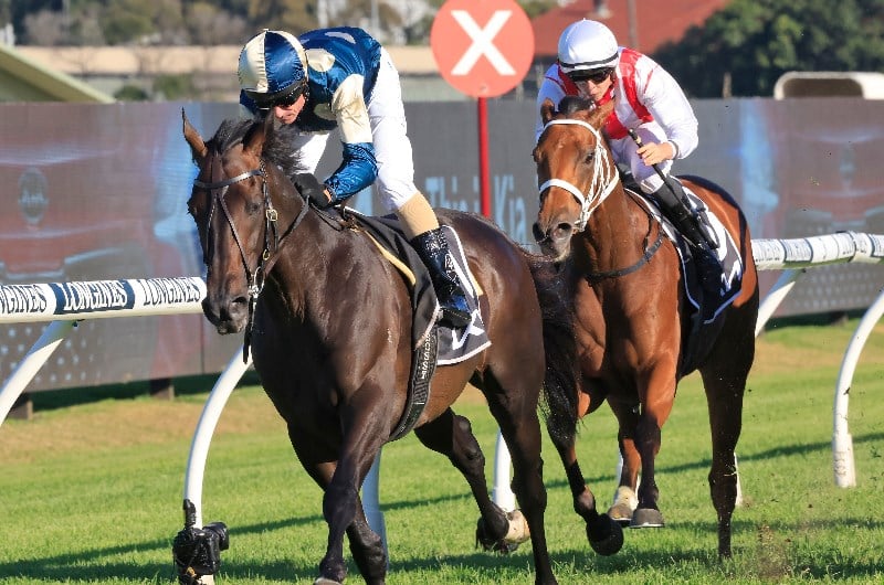 Doomben Cup 2021 Barrier Draw - Doomben Cup 2021 Final Field