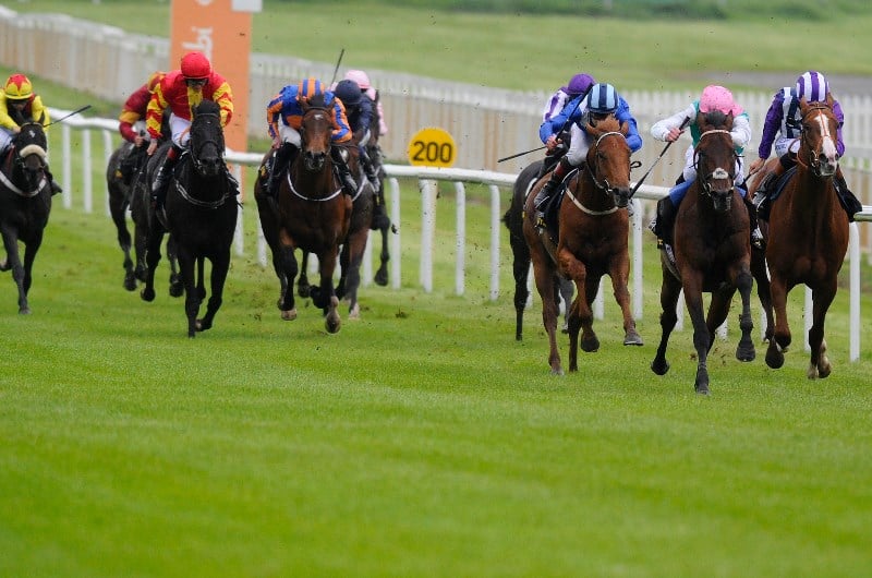 2021 Irish 2000 Guineas Tips, Odds and Predictions