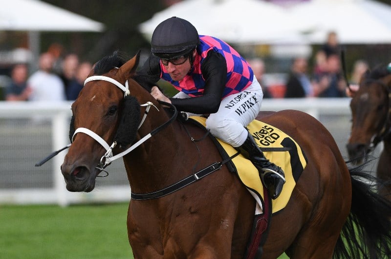 Get $3.70 for William Pike to ride 3+ winners at Belmont