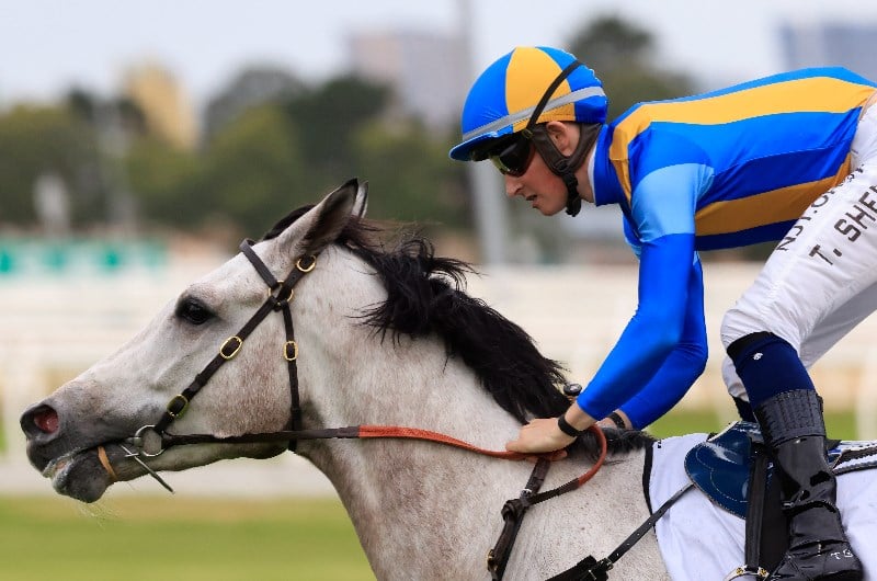 Weekend Racing Multi - Turn $10 into $1609