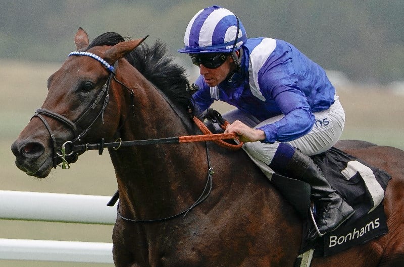 Racing News | Brilliant Baaeed blows rivals away as Battaash bows out.