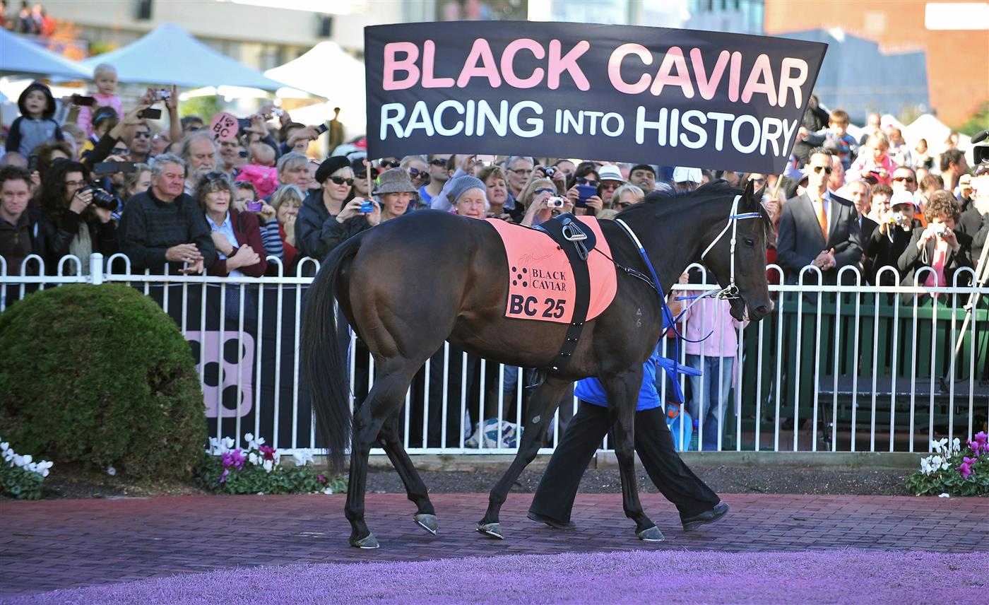 Black Caviar Career Highlights