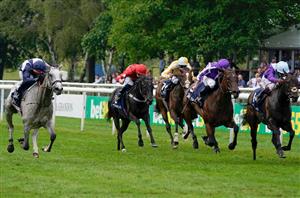 France Horse Racing | French Racing Tips | France Racing News and Tips.