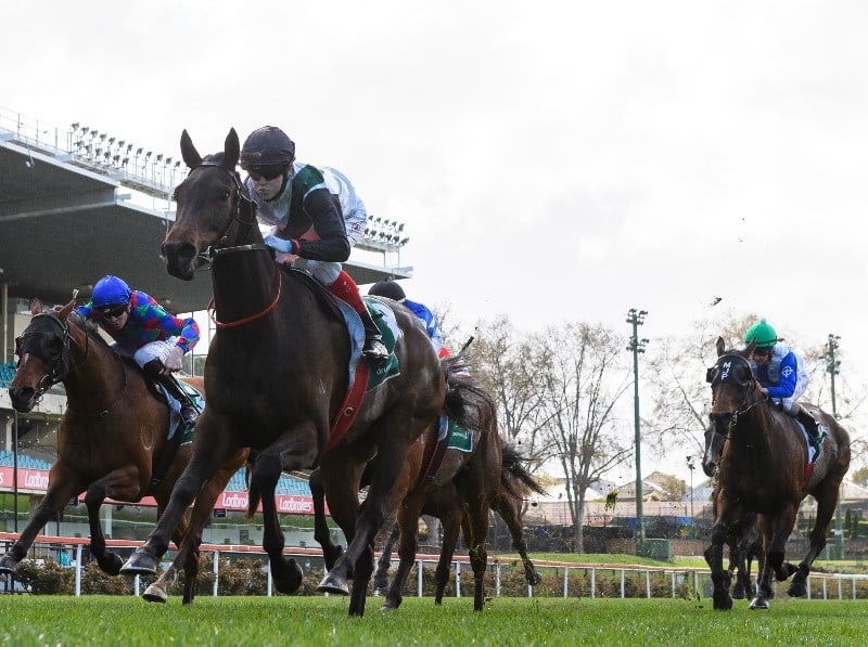 Big Bets Results Bets au Big Bets Winners Losers And Results Big Bets Results Bets au Big Bets Winners Losers And Results