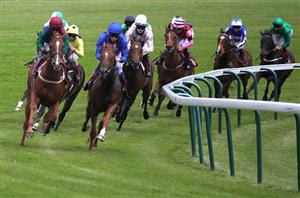 France Horse Racing | French Racing Tips | France Racing News and Tips.