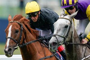 France Horse Racing | French Racing Tips | France Racing News and Tips.