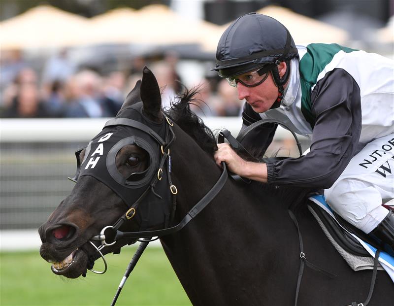 Christin Schotten Interview: Why she has a special bond with So Si Bon