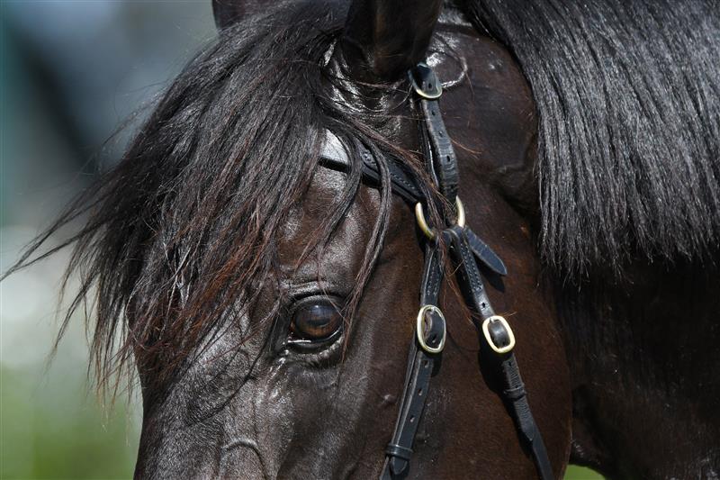 Christin Schotten Interview: Why she has a special bond with So Si Bon