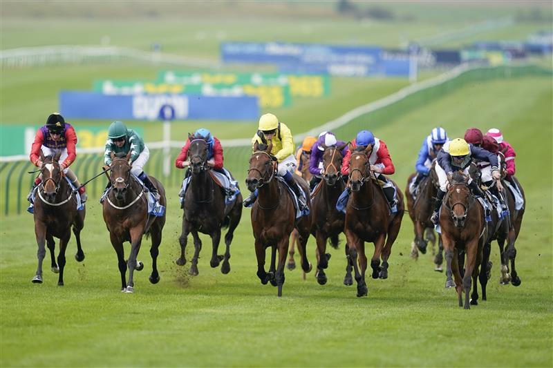 Racing Photos | Newmarket Pictures on October 8th