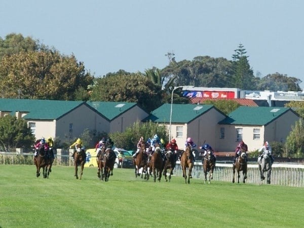South Africa Racing Tips | Best Bets at Turffontein and Kenilworth on ...