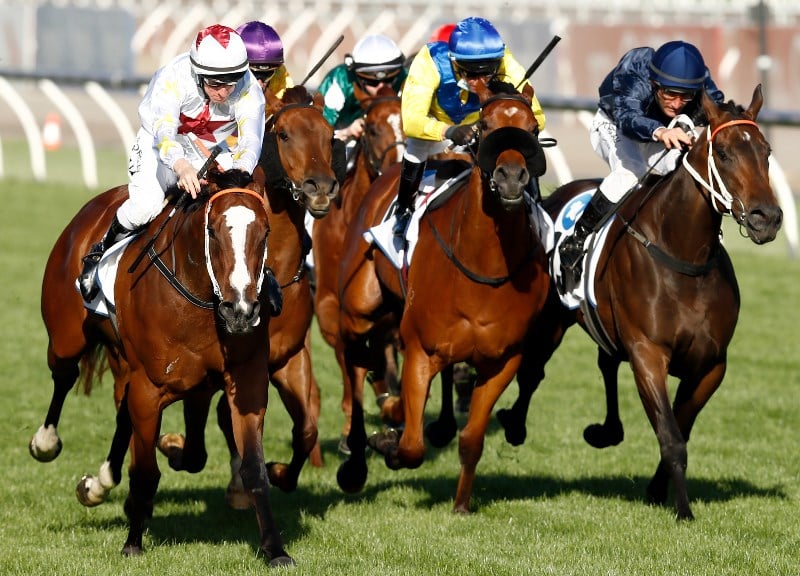 Kingston Town Classic Tips And Runner By Runner Preview 2021 Kingston Town Classic Preview