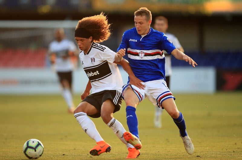 Fulham vs Bournemouth Predictions, Tips, Preview & Odds