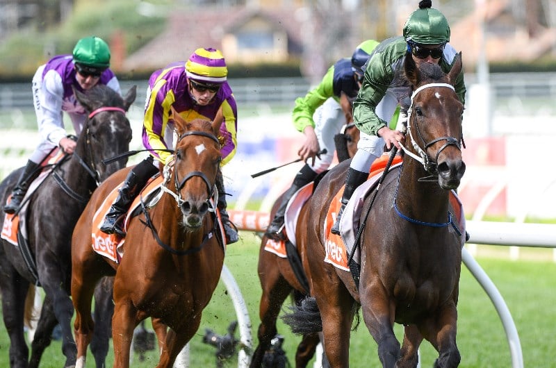 Weekend Racing Multi - Turn $10 into $2782