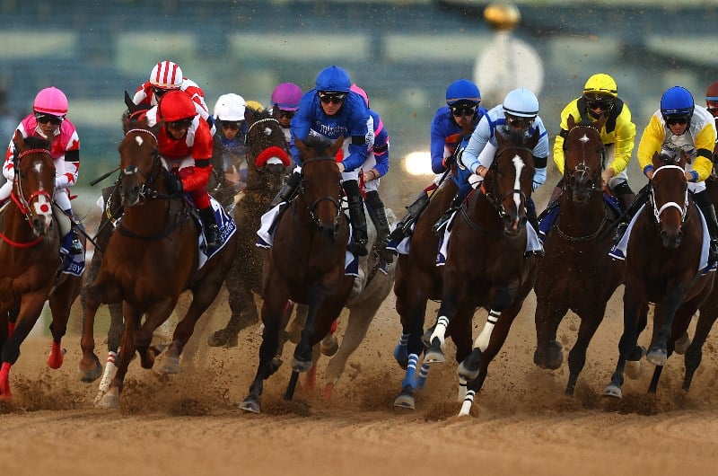 Meydan Tips | Dubai World Cup Carnival week 4 tips February 4