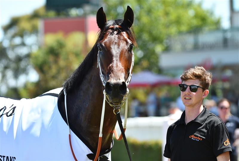 Caulfield Highlights - February 5, 2022