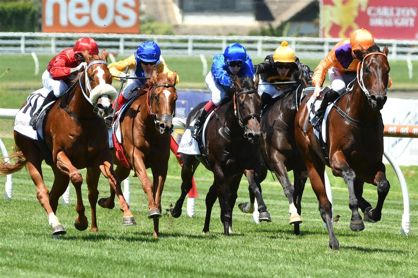 Caulfield Highlights - February 5, 2022