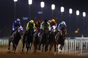 UAE Racing Tips & Dubai Racing Tips | RacingInsider.com