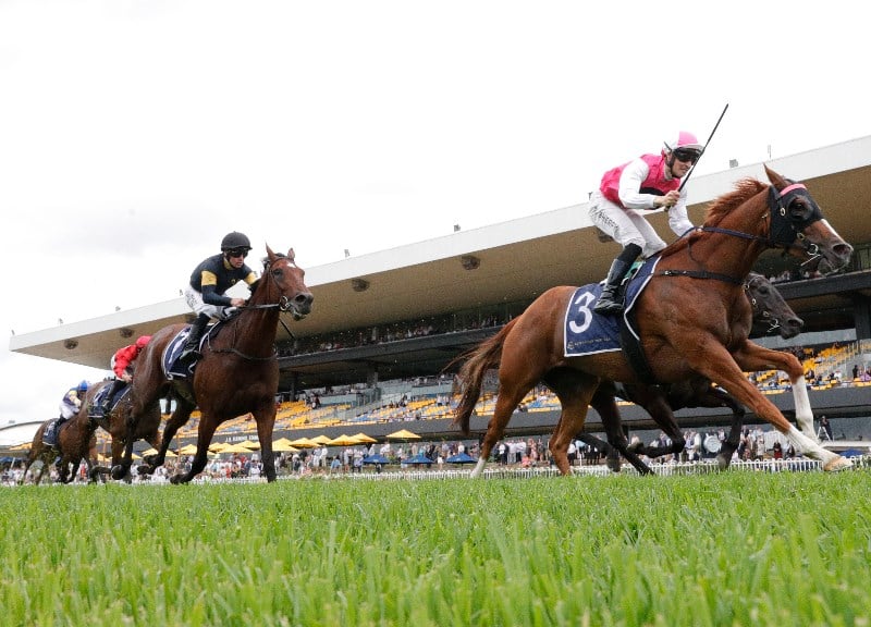 Coolmore Classic 2022 Barrier Draw - Coolmore Classic 2022 Final Field