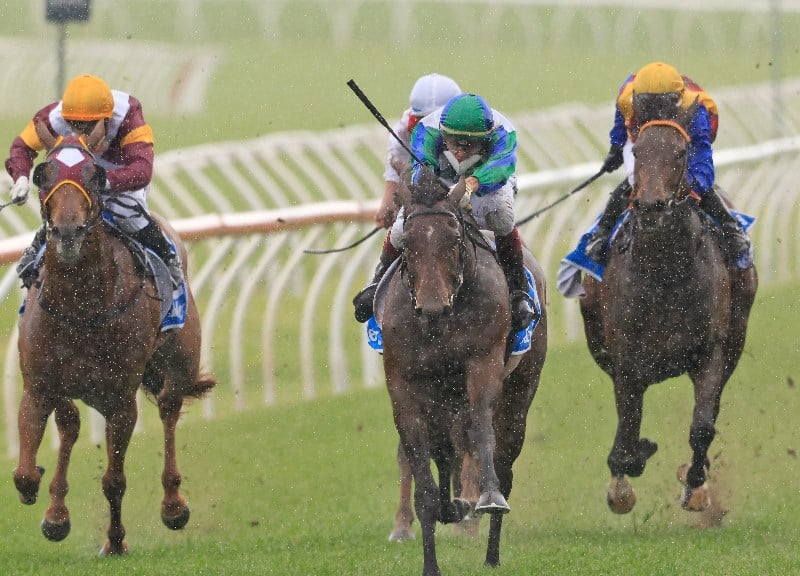 Vinery Stud Stakes 2022 Barrier Draw - Vinery Stud Stakes 2022 Final Field