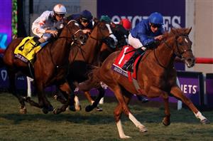 USA Racing Tips | Free Expert Tips | RacingInsider.com