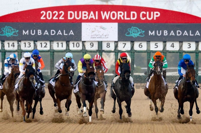 UAE Racing Tips & Dubai Racing Tips | RacingInsider.com